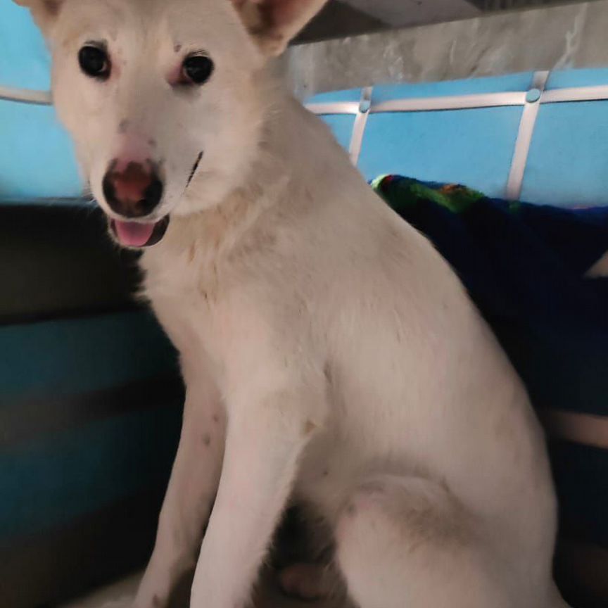 Ласковая Девочка один год