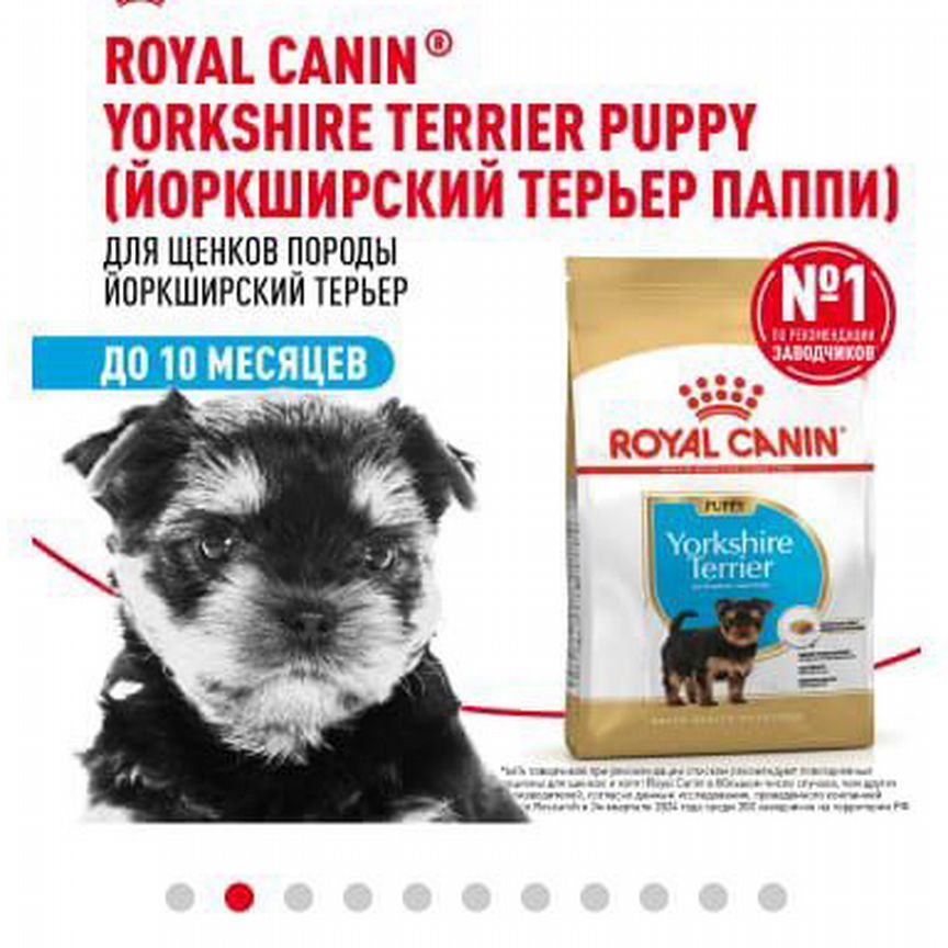 Корм для собак