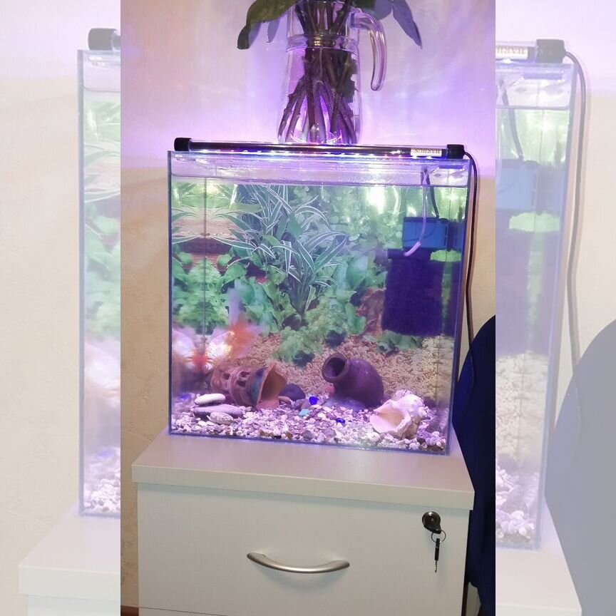 Аквариум с рыбкой золотой, фильтр, подсветка