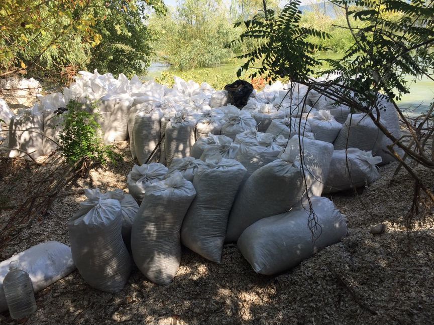 Ракушка речная