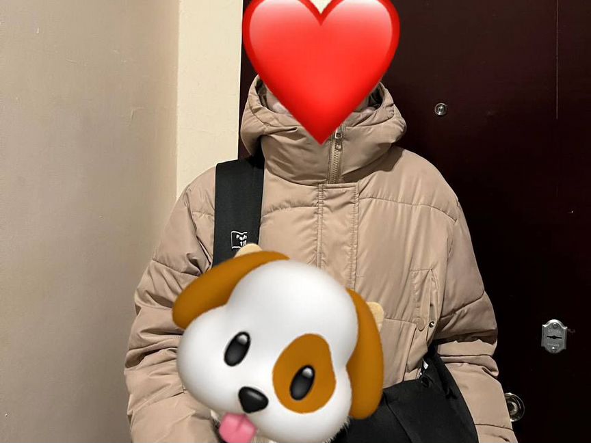 Слинг и одежда для собак и кошек
