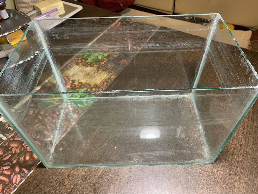 Аквариум с сомом