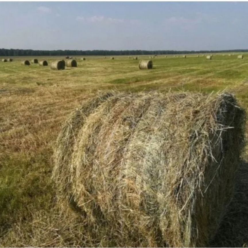 Сено и солома в тюках