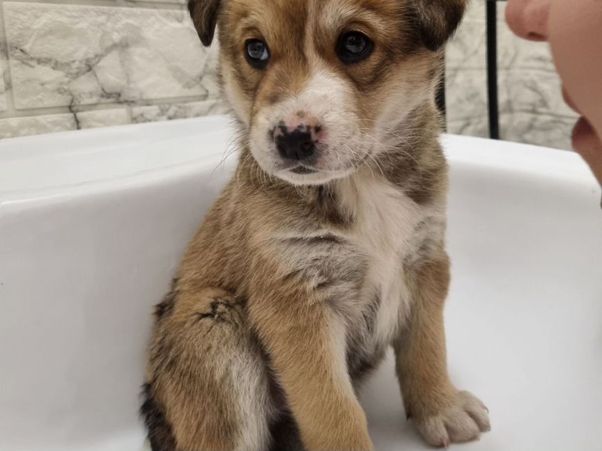 Неизвестно