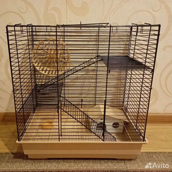 Крысята с клеткой