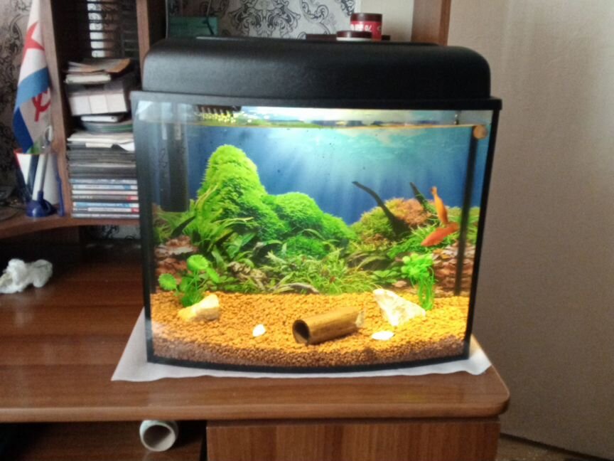Красивый, готовый аквариум- "Телевизор"