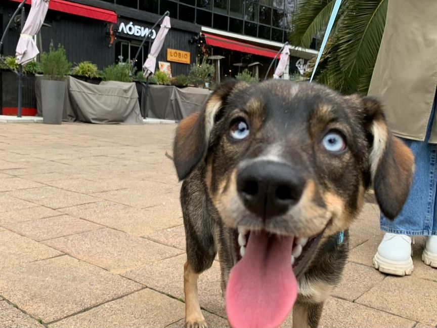 Космические глаза Габби ищут своего человека