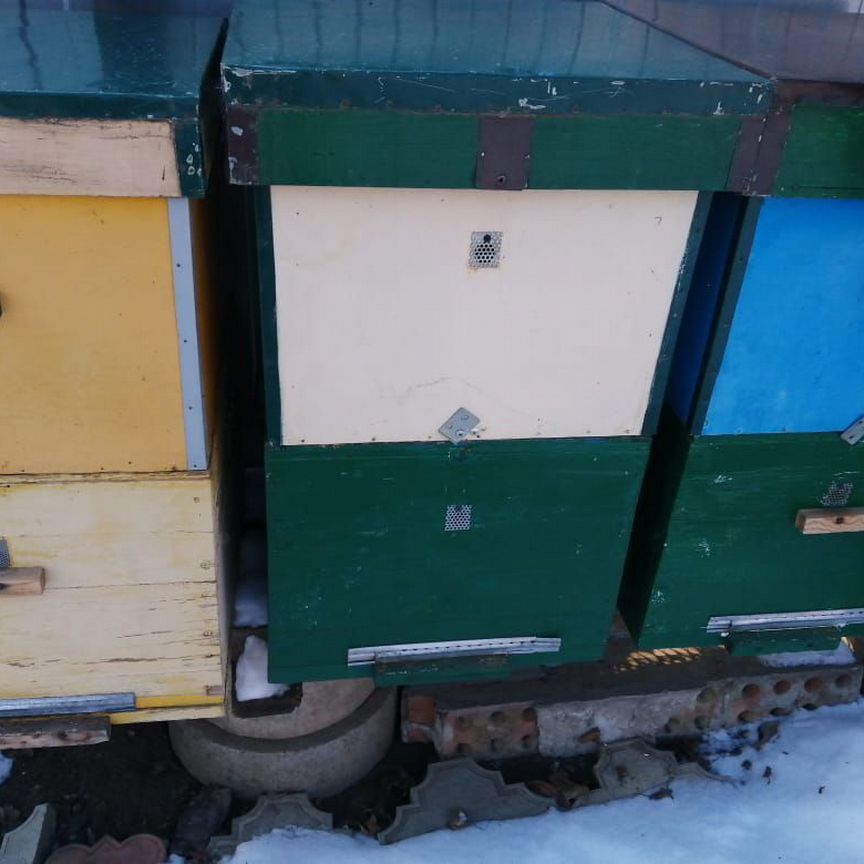 Ульи для пчел бу