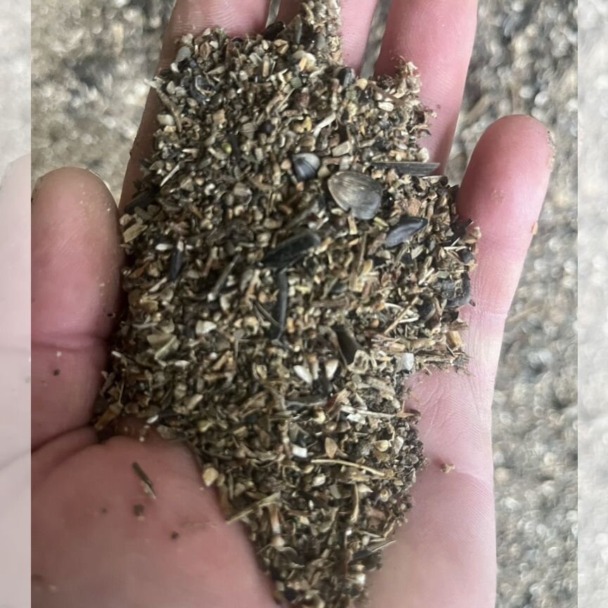 Отходы семечки подсолнечника