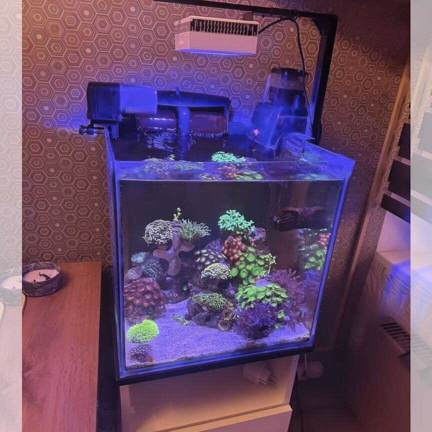 Морской аквариум 65 л полный комплект