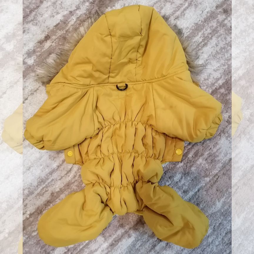 Одежда для собак мелких пород зима