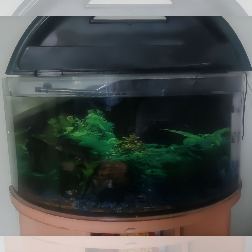 Аквариум с тумбой 100л