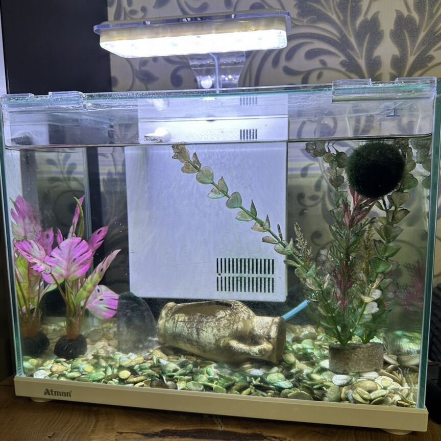Аквариум без рыбок