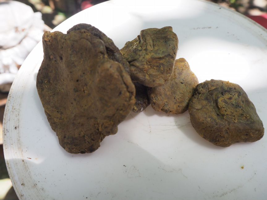 Прополис пчелиный