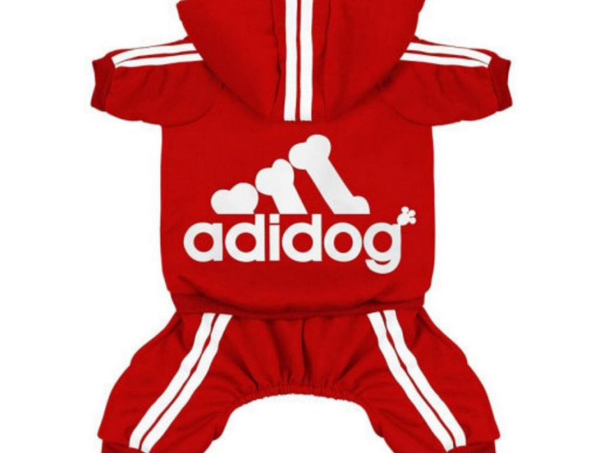 Костюм для собак мелких пород adidog