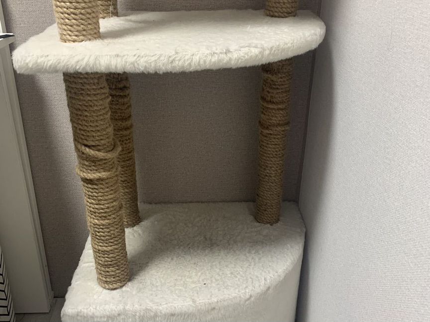 Кошачий домик
