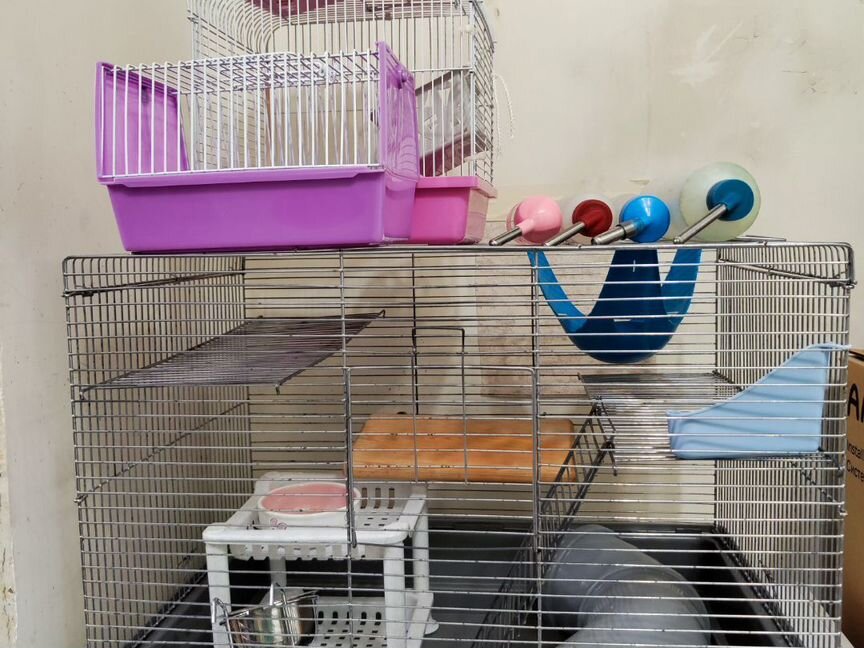 Клетка для грызунов большая