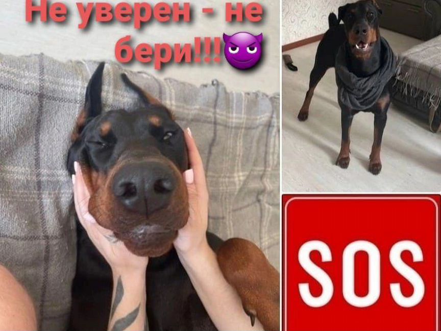 Нужен дом на всю жизнь