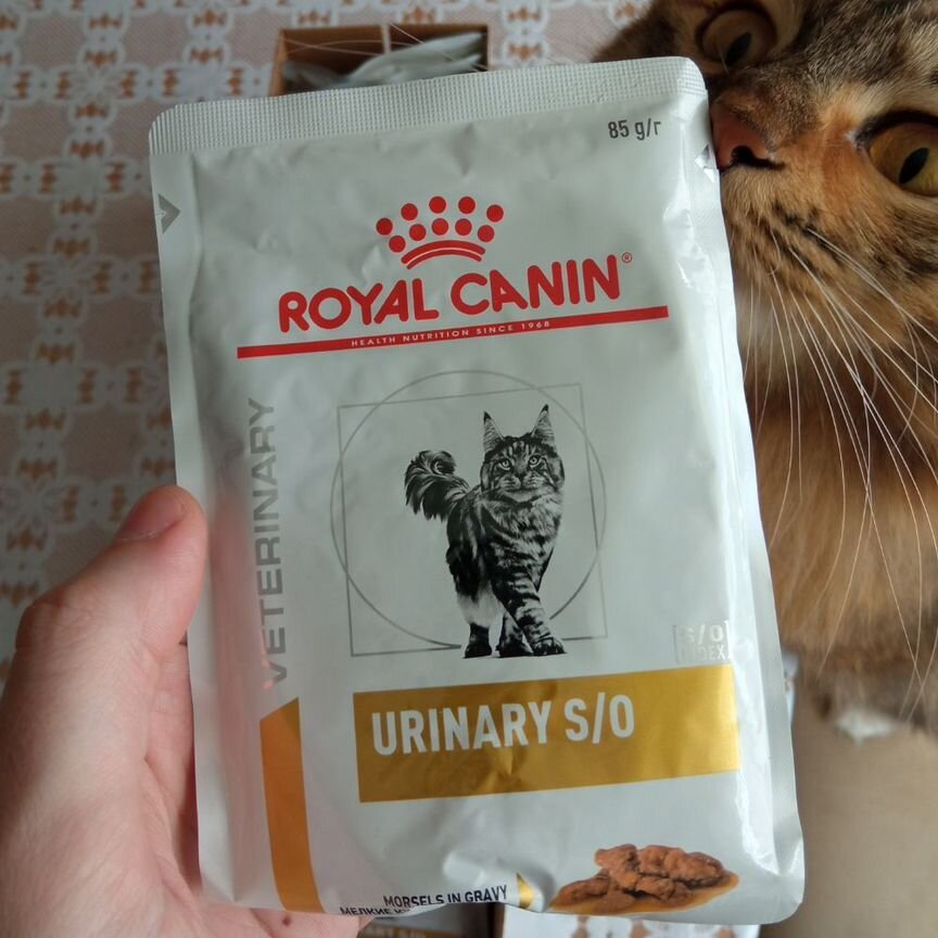Корм для кошек Royal Canin Urinary S/O, паучи х30