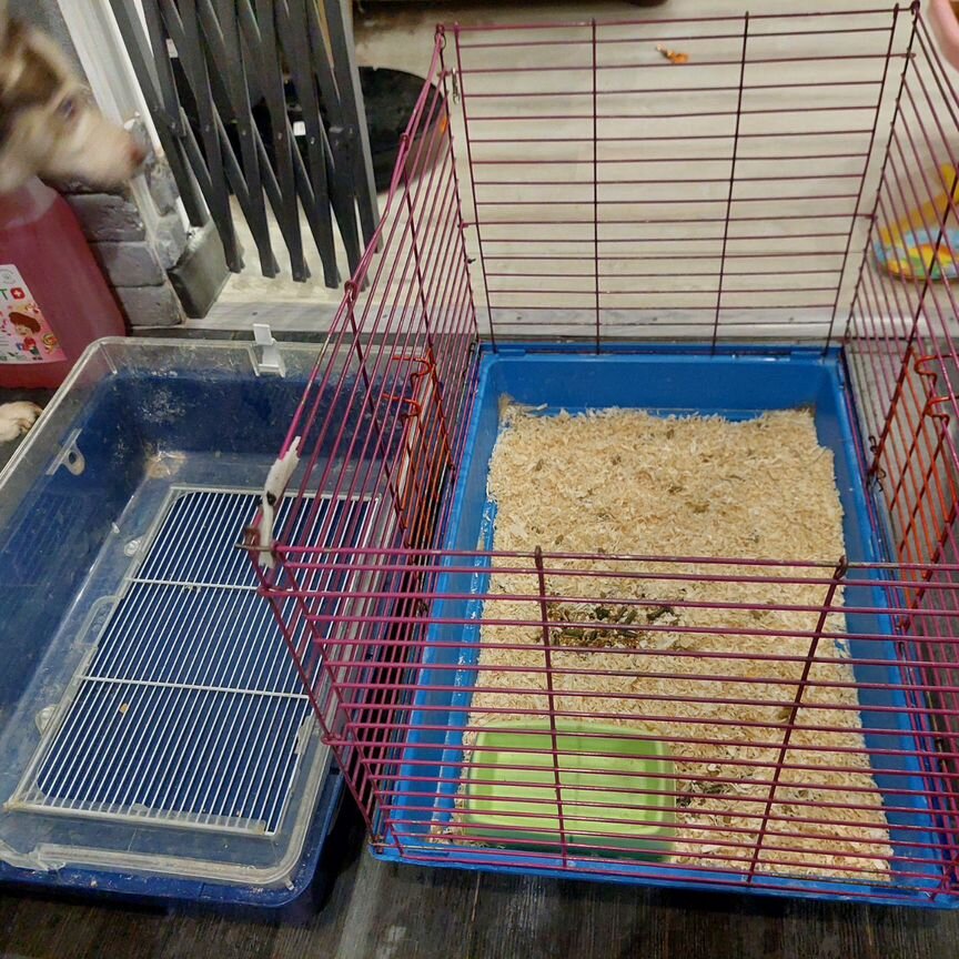 Клетка для грызунов