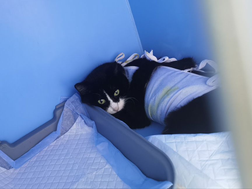 Через 3 дня снова на улицу