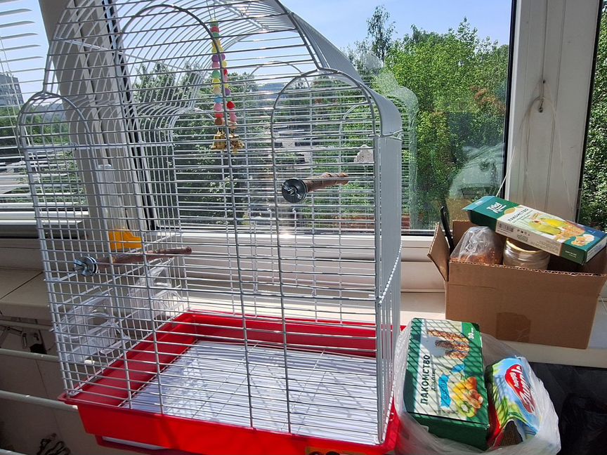 Клетка для попугая и много корма