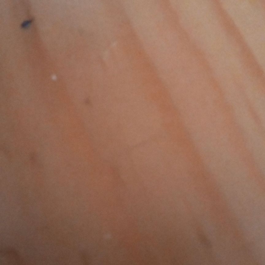 Стружка сухая