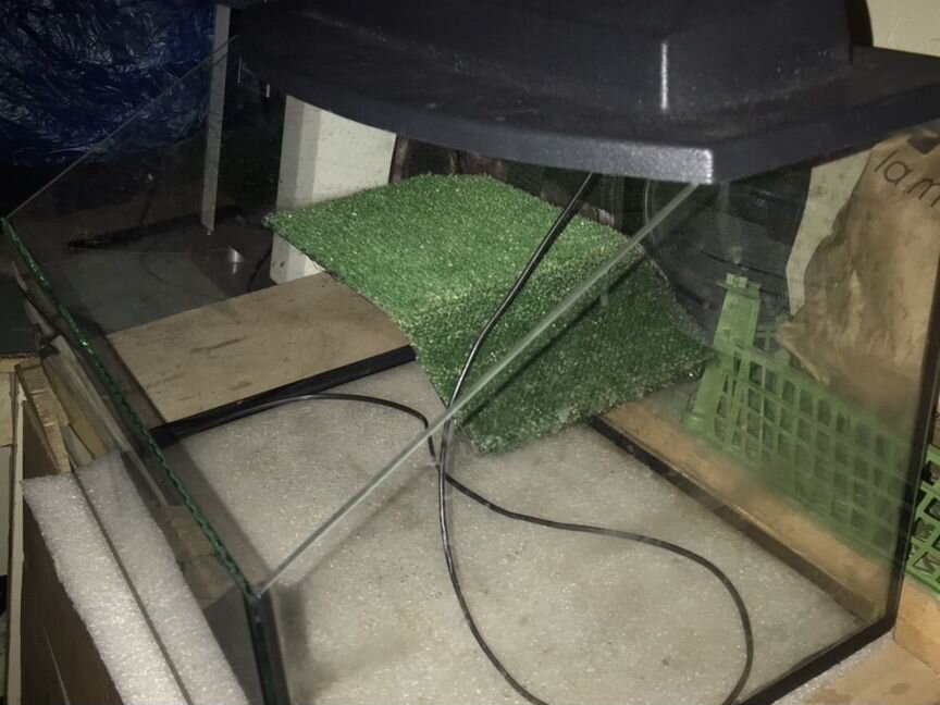 Терариум с большим островком для черепахи