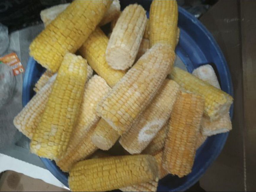 Кукуруза в початках для животных