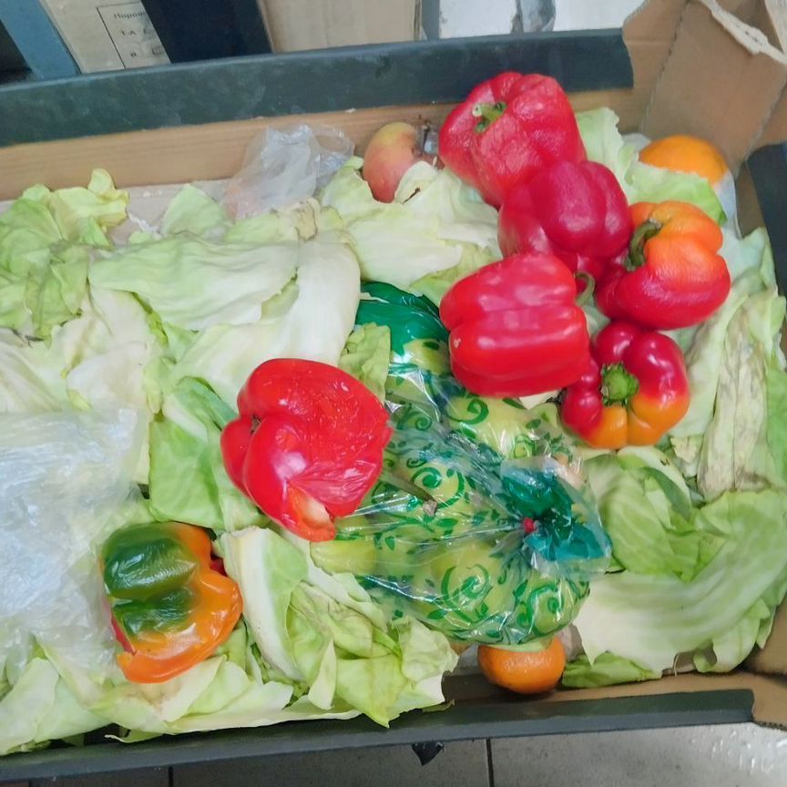 Корм для свиней