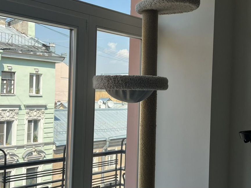 Когтеточка