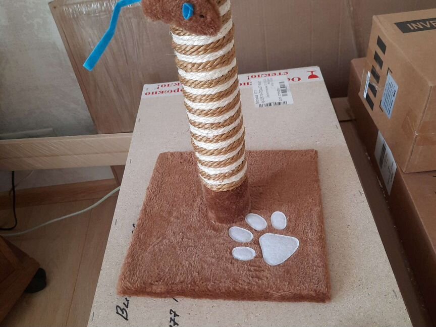 Когтеточка для котят
