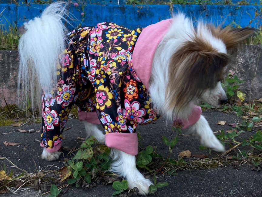 Одежда для собак «Фифа» цены пополам