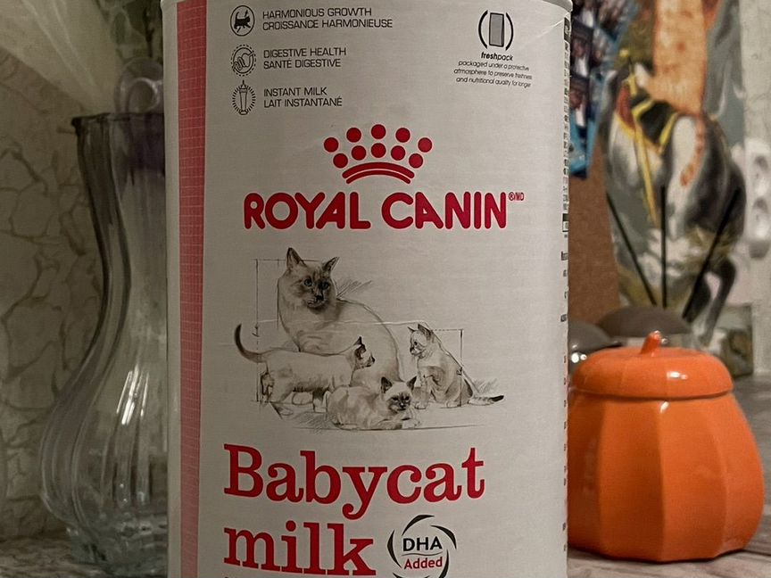 Royal Canin Заменитель кошачьего молока