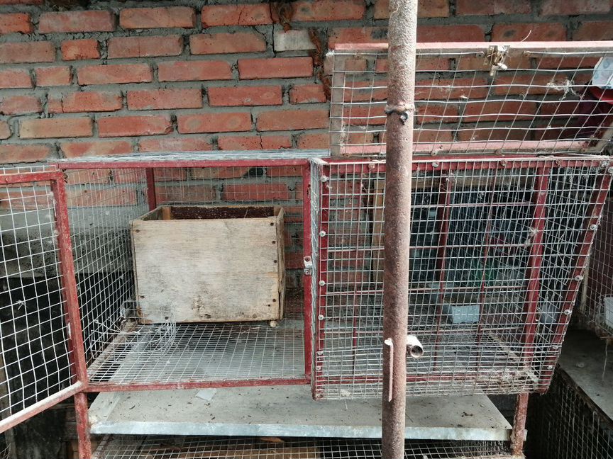 Клетки для грызунов