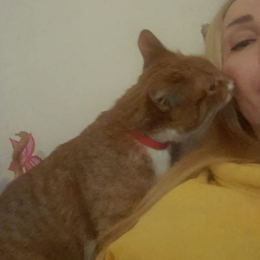 Нежный поцелуй