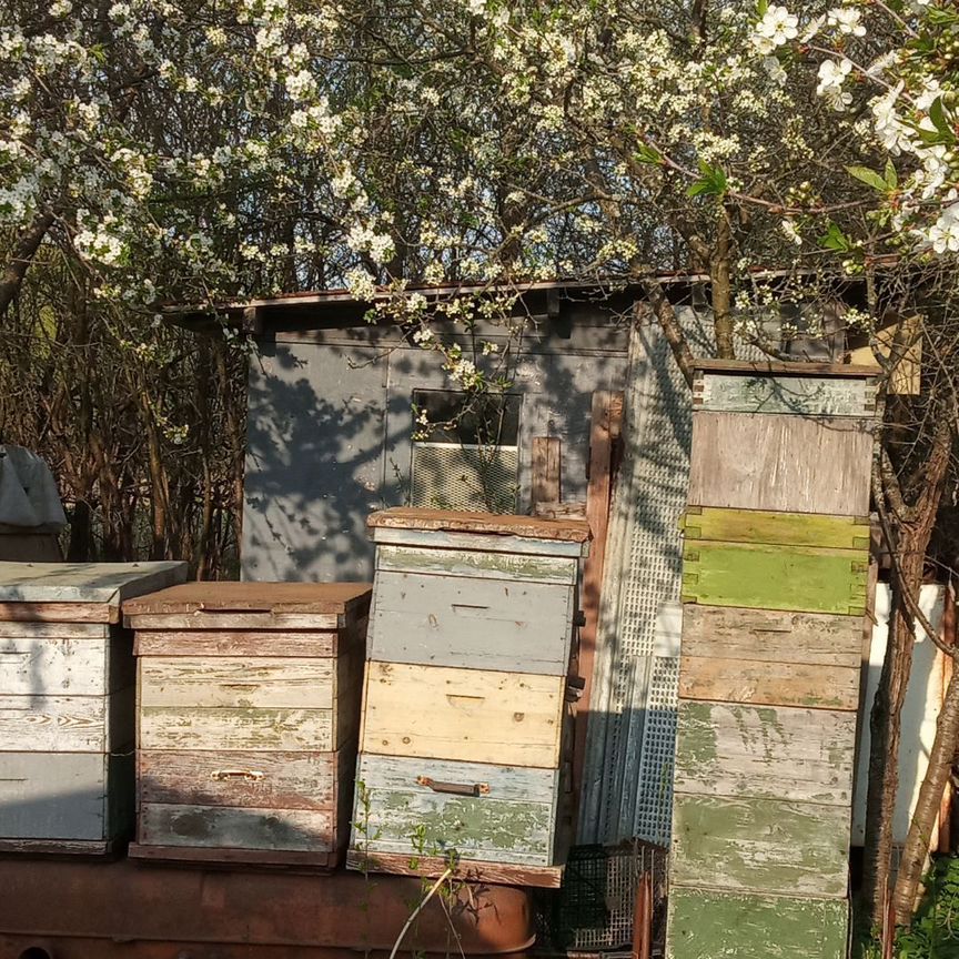Продам ульи для пчел, подставки