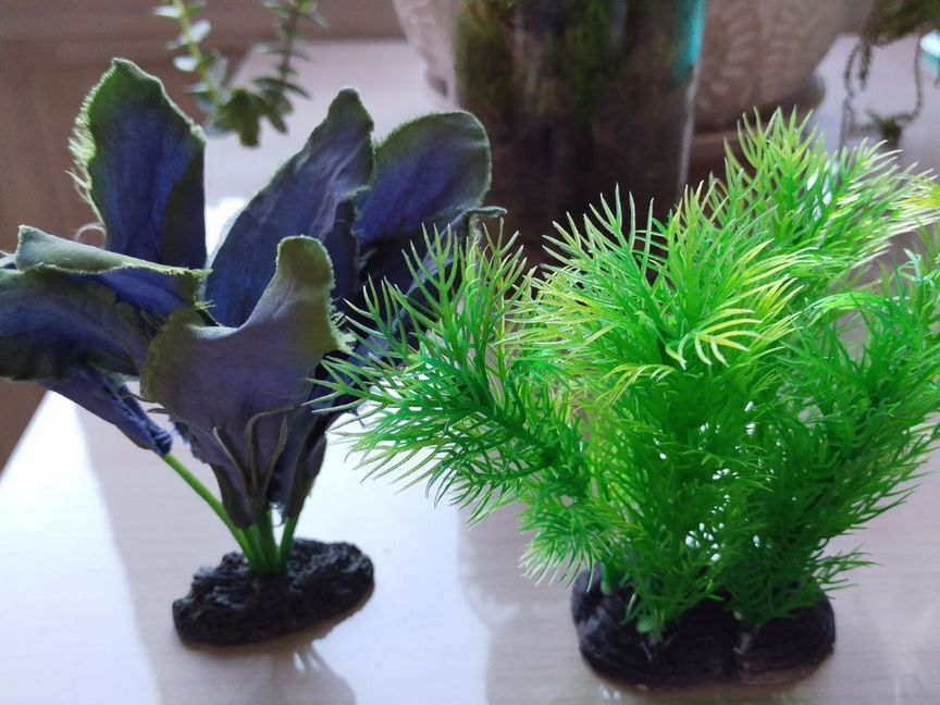 Декор для аквариума и трубка для слива воды