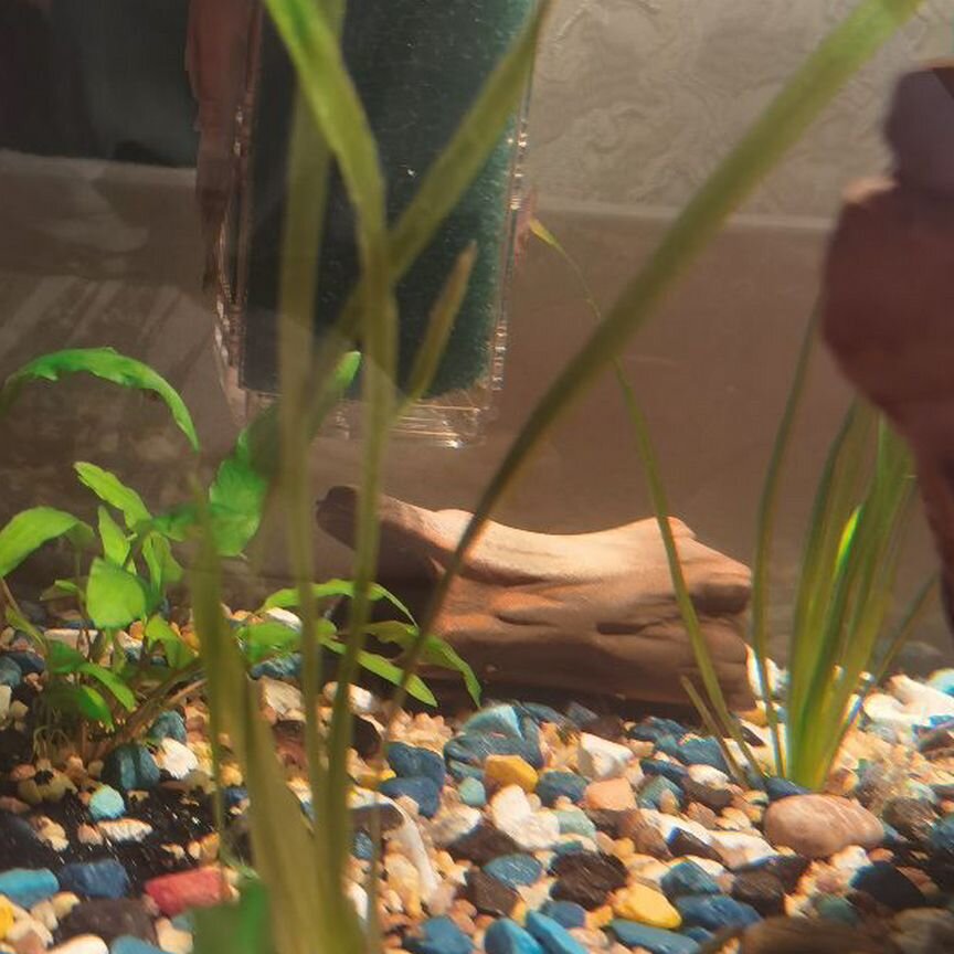 Домики для рыб