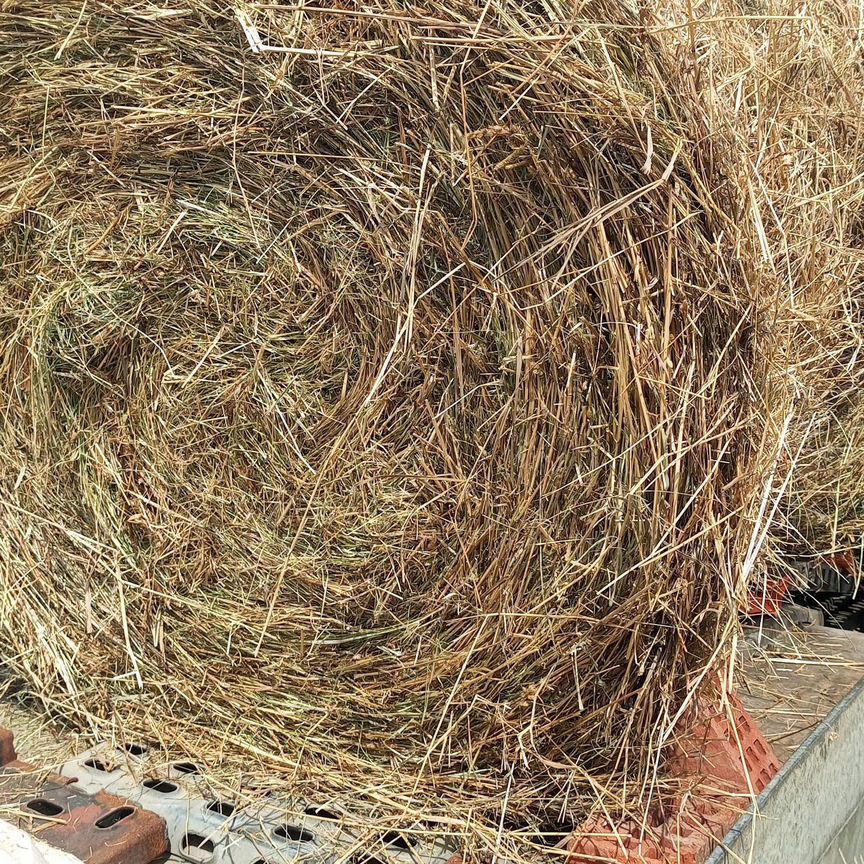 Сено в тюках