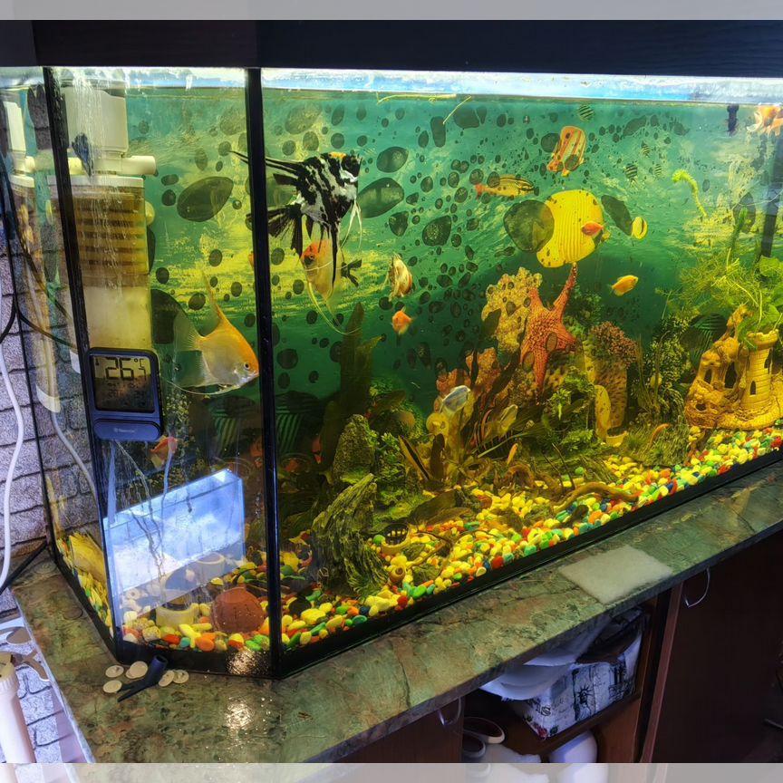 Аквариум