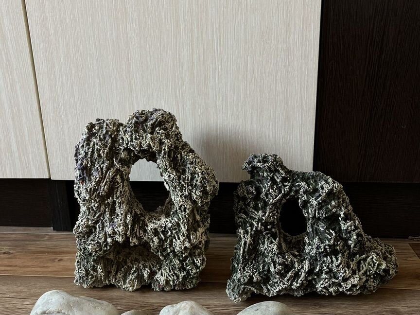 Коралл