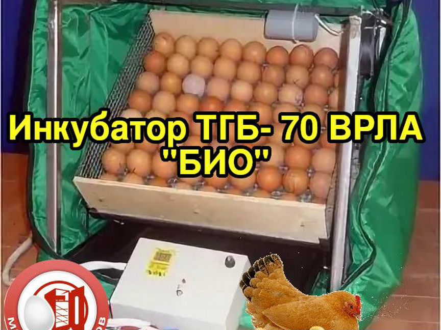 Инкубатор