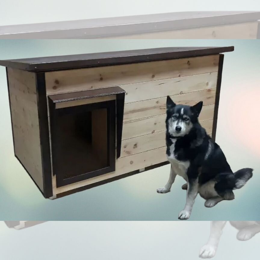 Будка (150/80/80см) для собаки