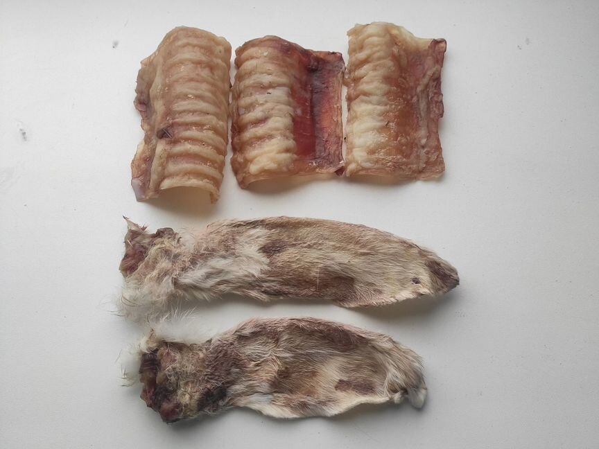 Собачьи лакомства