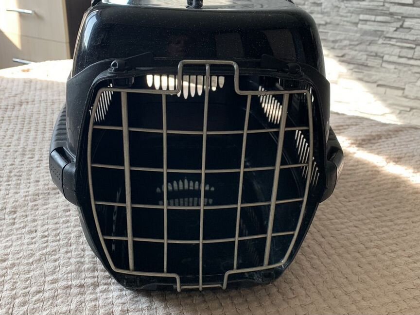 Переноска доя животных