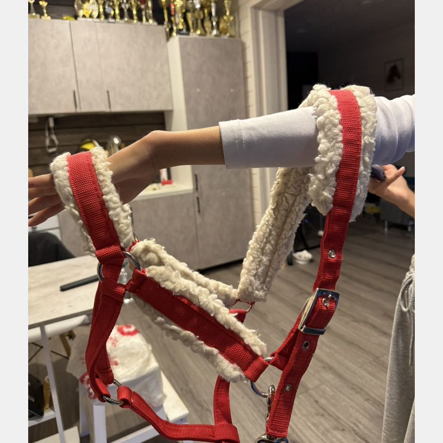 Недоуздок для лошади full