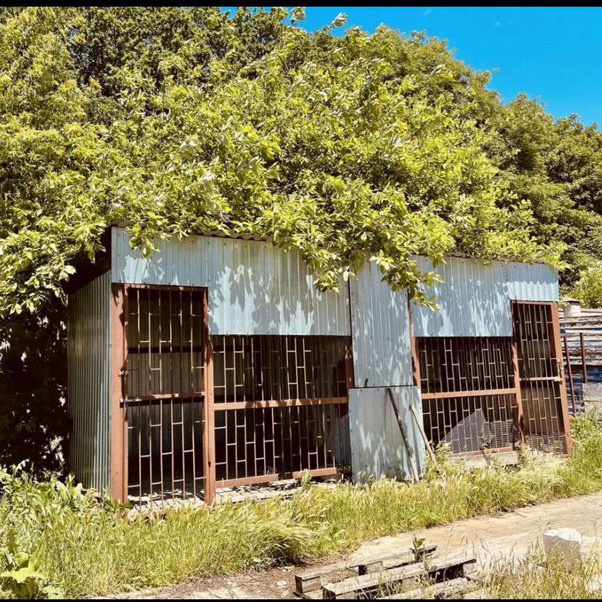 Вольер для собак