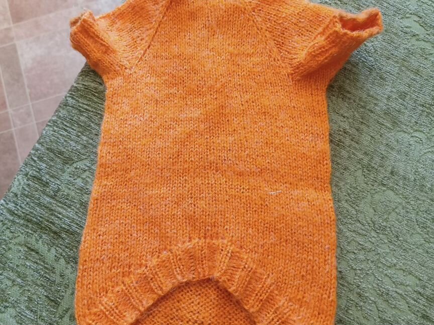 Жилет для кошки