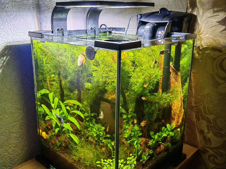 Кубик акваэль 30 литров готовый полностью